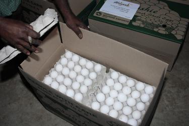 Fresh Food Suppliers, Manufacturers, Wholesalers and Exporters